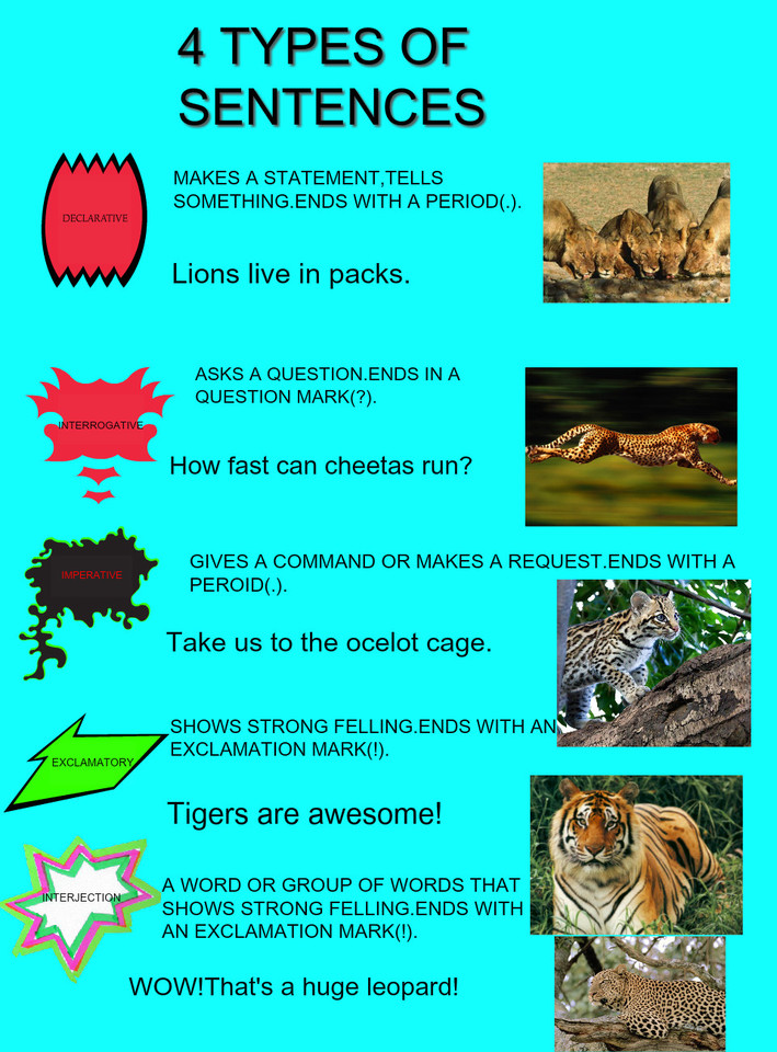 Kinds Of Sentences English Study Material Notes
